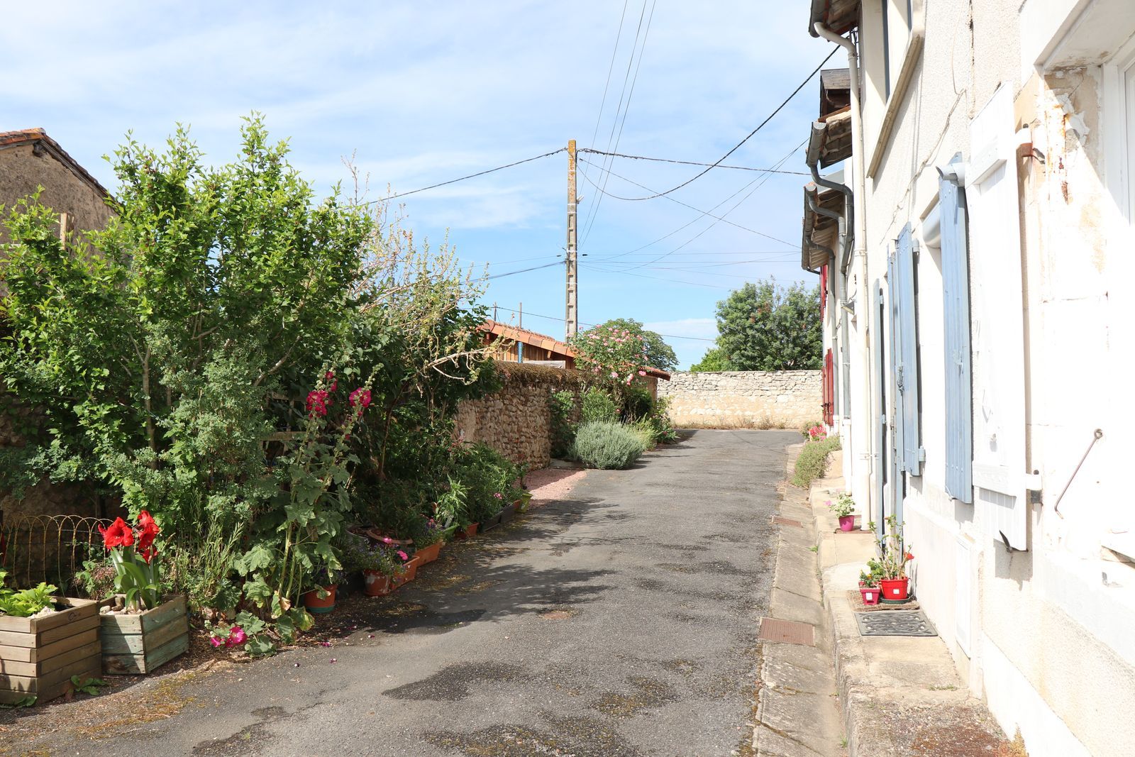 Permis de végétaliser - Montmorillon (86)